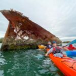 Dolphin Sanctuary and Ships Graveyard Kayak Tour - The Practical Side: What You Need to Know