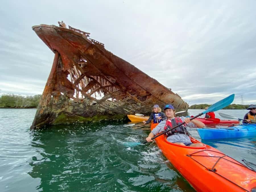 Dolphin Sanctuary and Ships Graveyard Kayak Tour - The Practical Side: What You Need to Know