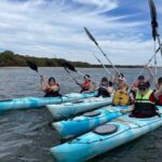 Dolphin Sanctuary Kayak Tour Adelaide - Why This Tour Works Well