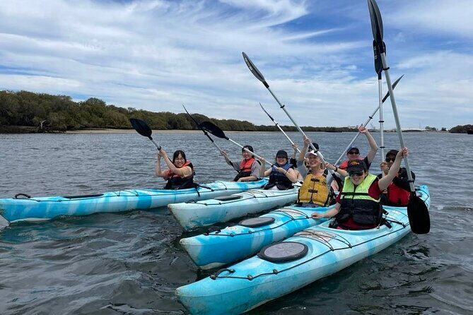 Dolphin Sanctuary Kayak Tour Adelaide - Why This Tour Works Well