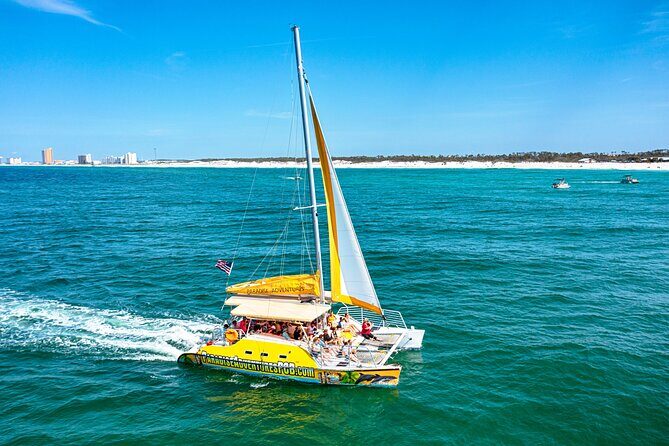 Dolphin Sightseeing Tour on The Footloose Catamaran from Panama City Beach - Authentic Insights from Guests