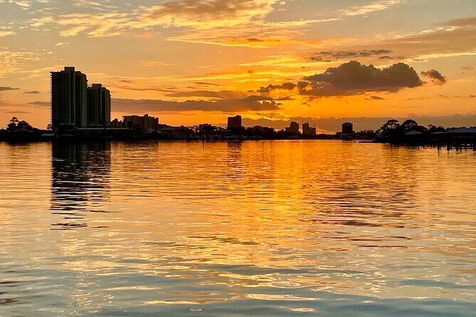 Dolphin Sunset Tour in Orange Beach - What to Expect on the Tour