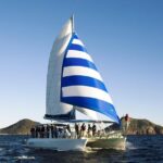 Dolphin Watch + Sailing - Port Stephens - Final Thoughts