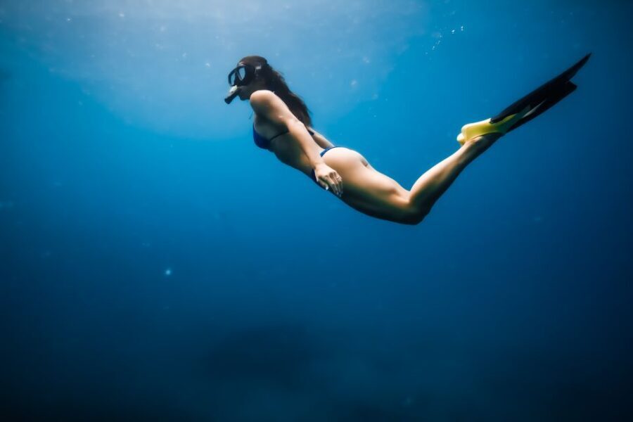 Dolphin Watch Snorkel and BBQ in Kona, Big Island - Wildlife Watching: Dolphins and Beyond