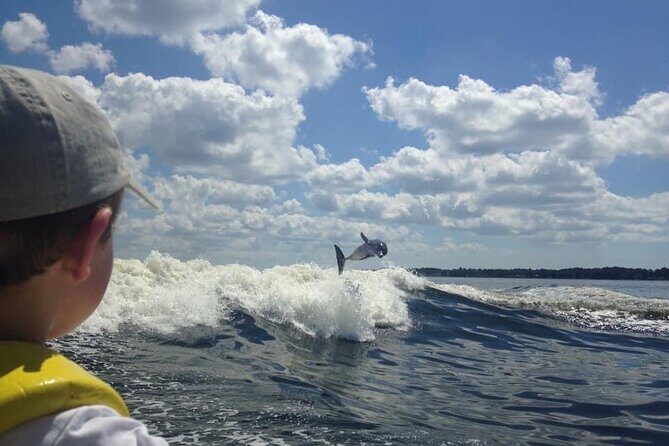 Dolphin Watching aboard the Cold Mil Fleet - What to Expect on This Dolphin Cruise