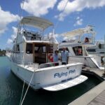 Dolphin Watching Cruise with Underwater Observatory Viewing - Final Thoughts on Value & Suitability