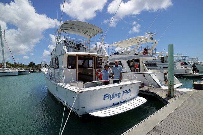 Dolphin Watching Cruise with Underwater Observatory Viewing - Final Thoughts on Value & Suitability