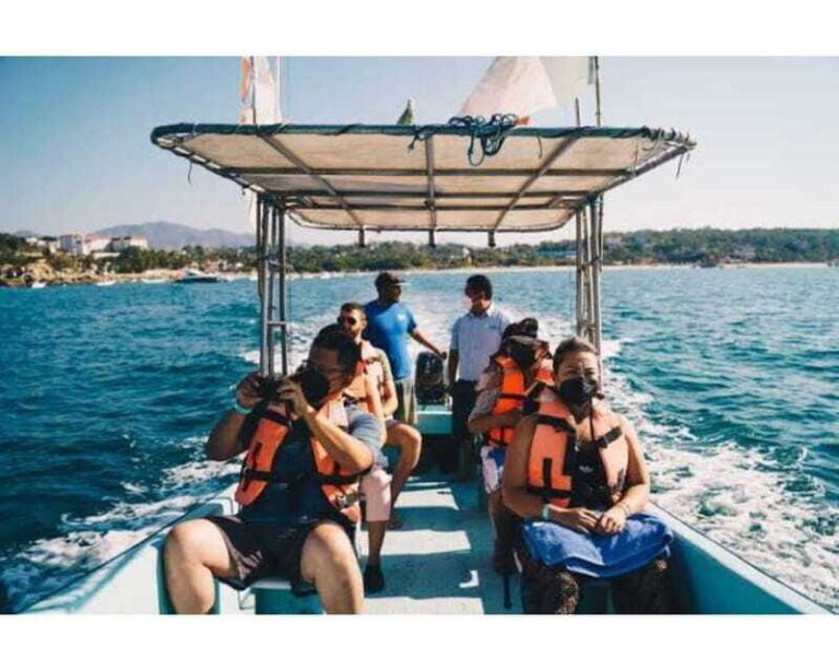 Dolphins and whales watching in Puerto Escondido. - The Itinerary: A Closer Look