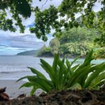 Domestic private transfer, arrival departure, airport hotel cruise rental - Transportation Details and Vehicle Comfort