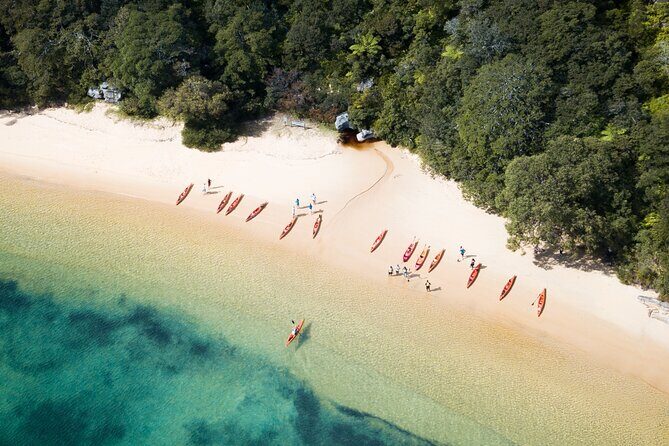 Double Kayak Hire - 4 Hours - Analyzing the Value