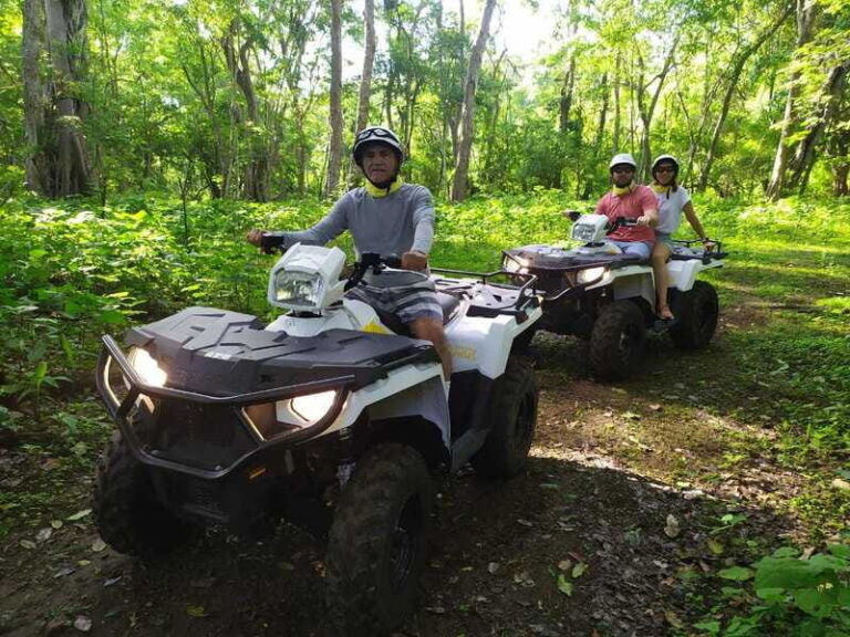 Double or Single Rider ATV Jungle Tour - Why This Tour Works Well for You