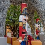 Downtown DC Holiday Tour: Lights, Decorations & Festive Cheer - Practical Details and Value