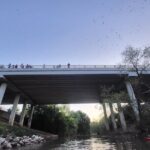 Downtown Houston Bat and Skyline Kayaking Tour - What It Feels Like: The Experience from a Traveler’s Perspective