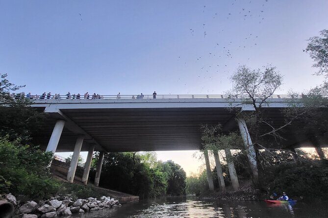 Downtown Houston Bat and Skyline Kayaking Tour - What It Feels Like: The Experience from a Traveler’s Perspective