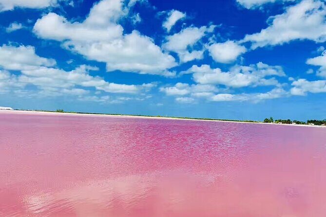 Dream Vacation in Cancun 5 Days Romantic Tour - Transportation & Comfort