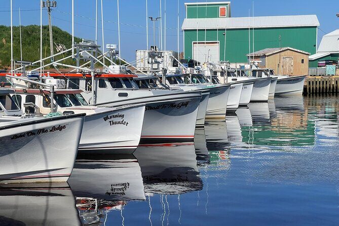 Driving Through Time: A Self-Guided Tour of Tignish to North Cape - Benefits of a Self-Guided Format