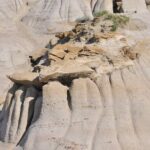 Drumheller Dinosaur Valley & Horseshoe Canyon Adventure Day Tour - What Makes This Tour Stand Out