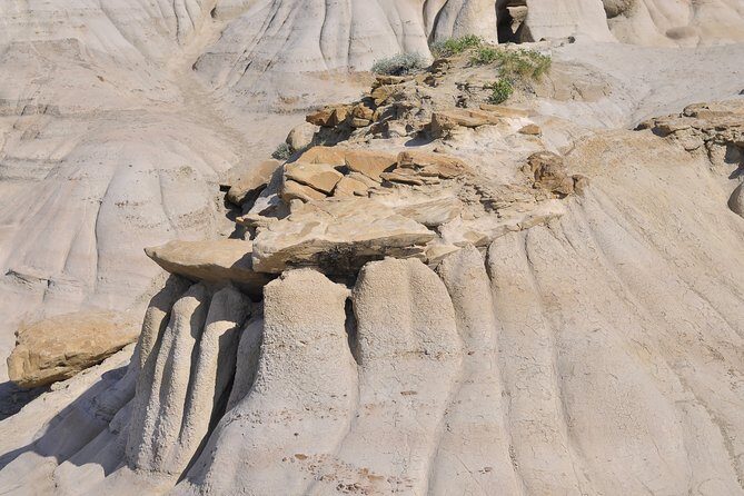 Drumheller Dinosaur Valley & Horseshoe Canyon Adventure Day Tour - What Makes This Tour Stand Out