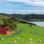 Duder Regional Park Walking Tours - Detailed Breakdown of the Itinerary