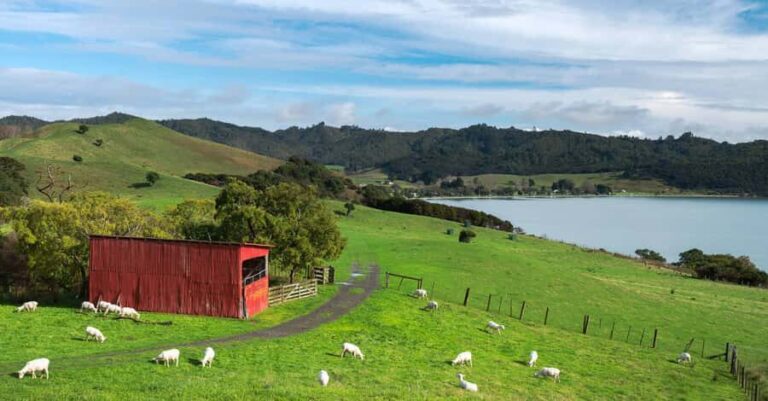 Duder Regional Park Walking Tours - Detailed Breakdown of the Itinerary