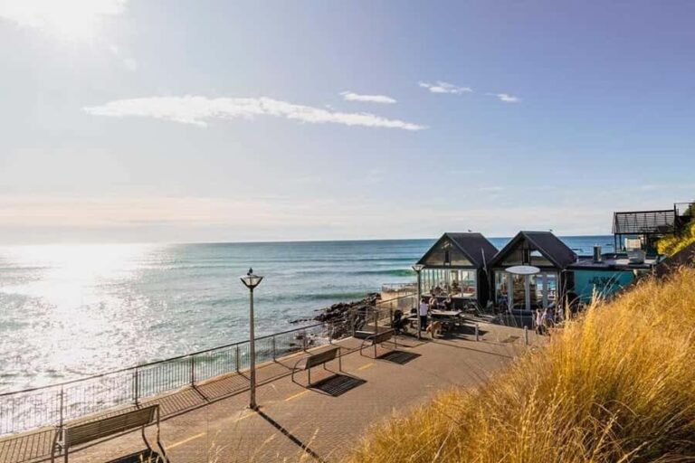 Dunedin: 3 Hour Artisan Food Walking Tour - The Guide and Overall Experience