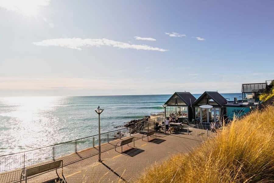 Dunedin: 3 Hour Artisan Food Walking Tour - The Guide and Overall Experience