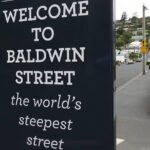 Dunedin City Highlights, Otago Peninsula Scenery & Albatross Guided Tour - Who Should Book This Tour?