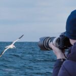 Dunedin City to Sea Wildlife Cruise + Peninsula Bus Tour - What Past Guests Say