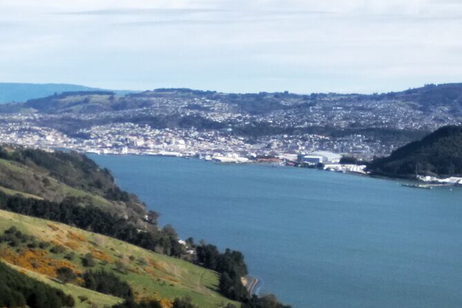 Dunedin City, Wildlife and Larnach Castle - FAQ