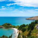 Dunedin Cruise Excursion: Express Coastline Rail Tour - The Historic and Natural Highlights