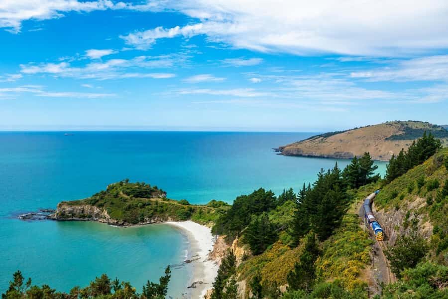 Dunedin Cruise Excursion: Express Coastline Rail Tour - The Historic and Natural Highlights