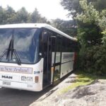Dunedin Nature & City Tour  Full Day Cruise Excursion - Why the Experience Works