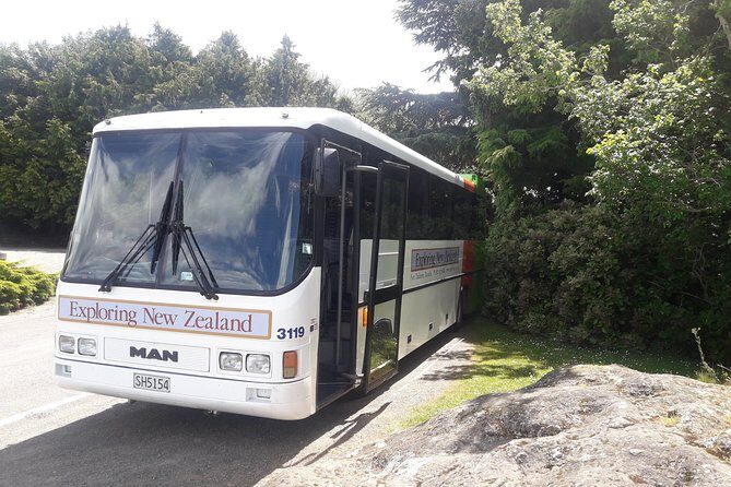 Dunedin Nature & City Tour  Full Day Cruise Excursion - Why the Experience Works