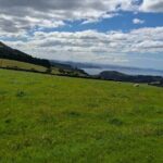 Dunedin & North Otago Scenic & Wildlife Tour - Authentic Experiences and Hidden Gems