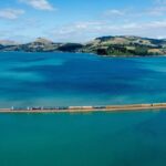 Dunedin: Scenic Railway Tour of Otago's Coastline - Who Should Take This Tour?