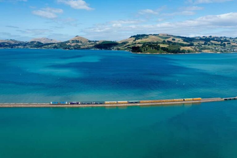 Dunedin: Scenic Railway Tour of Otago's Coastline - Who Should Take This Tour?