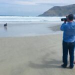 Dunedin Shore Excursion: Small-Group Tour of Dunedin and the Otago Peninsula - Transporte, duração e qualidade do grupo