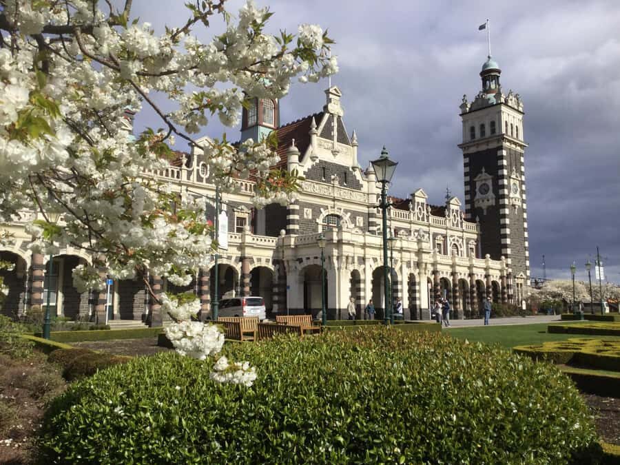 Dunedin: Small Group City Highlights Tour - Who This Tour Is Best For