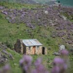 Dunedin to Queenstown One Way Tour Including Taieri Gorge Train - The Practicalities and Value