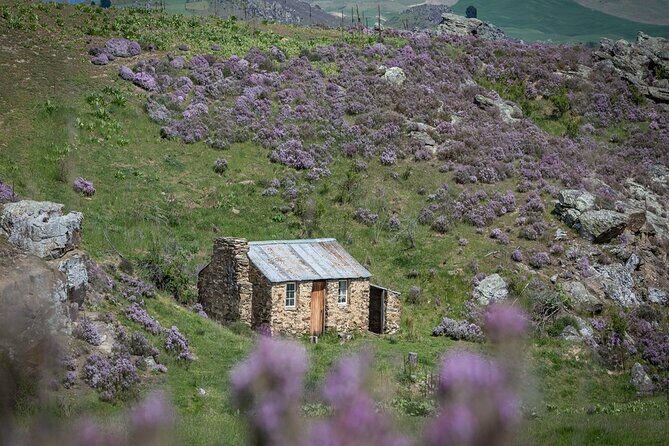 Dunedin to Queenstown One Way Tour Including Taieri Gorge Train - The Practicalities and Value
