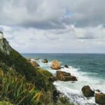 Dunedin to Te Anau via The Catlins & Invercargill 1 Way Tour - What To Expect: The Practicalities