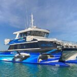 Dunsborough Whale Watching Eco Tour - The Seasons and Best Time to Go