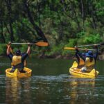 Dwellingup: Paddle 'n' Picnic Self-Guided Tour - Who Should Consider This Tour?