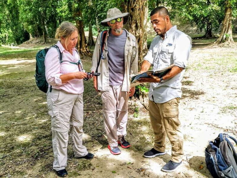 Dzibanche & Kohunlich Mayan Archeology Tour & 3 course Meal - The Logistics: Comfort and Convenience