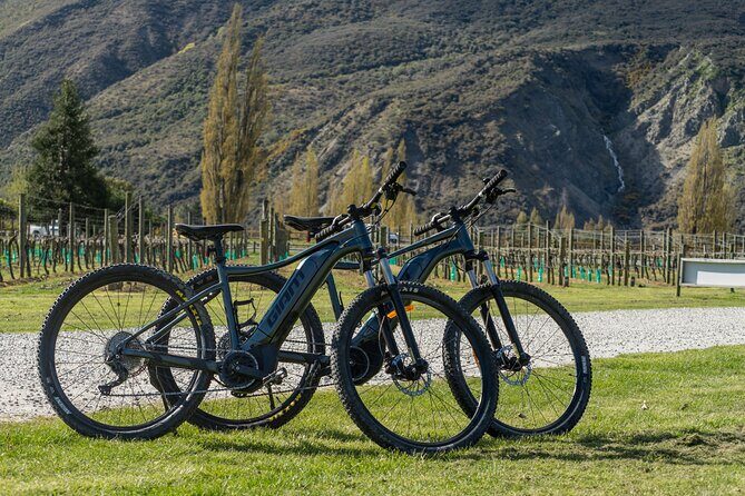E-Bike Adventures Through the Wineries in Gibbston - What Makes This Tour Stand Out?