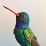 Early Birdwatching Eco City Tour Exper. + 2 Locations & Breakfast - Practical Details and Value Analysis