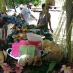 Eastcape Drive Tour - An In-Depth Look at the East Cape Drive Tour