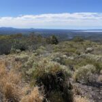 eBike Noosa Sightseeing Tour - New! - Practical Tips for Visitors