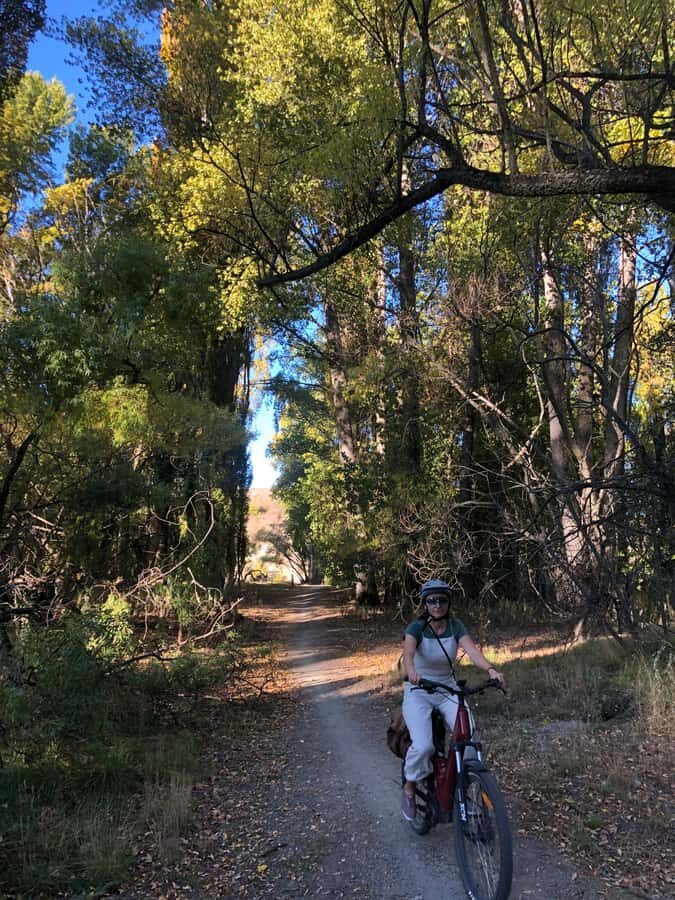 ebike tour lake Hawea river track to Wanaka - What Makes the Guides Stand Out?