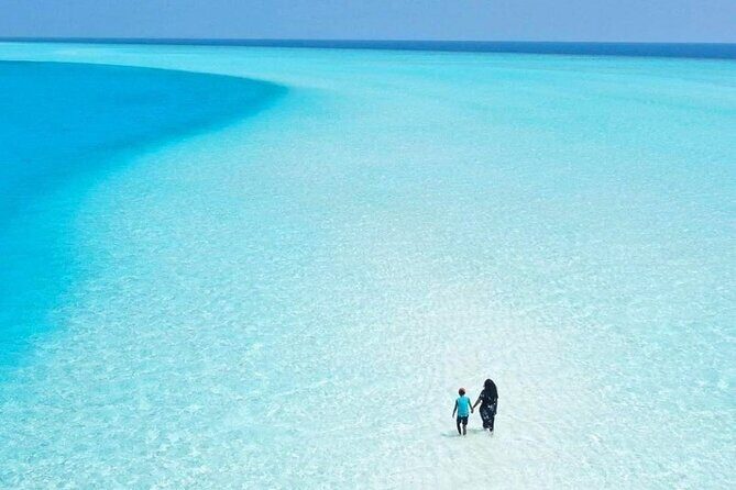 ECO-Adventure at Holbox Island and Cenote Yalahau from Cancun & Playa Del Carmen - What’s Included and What’s Not